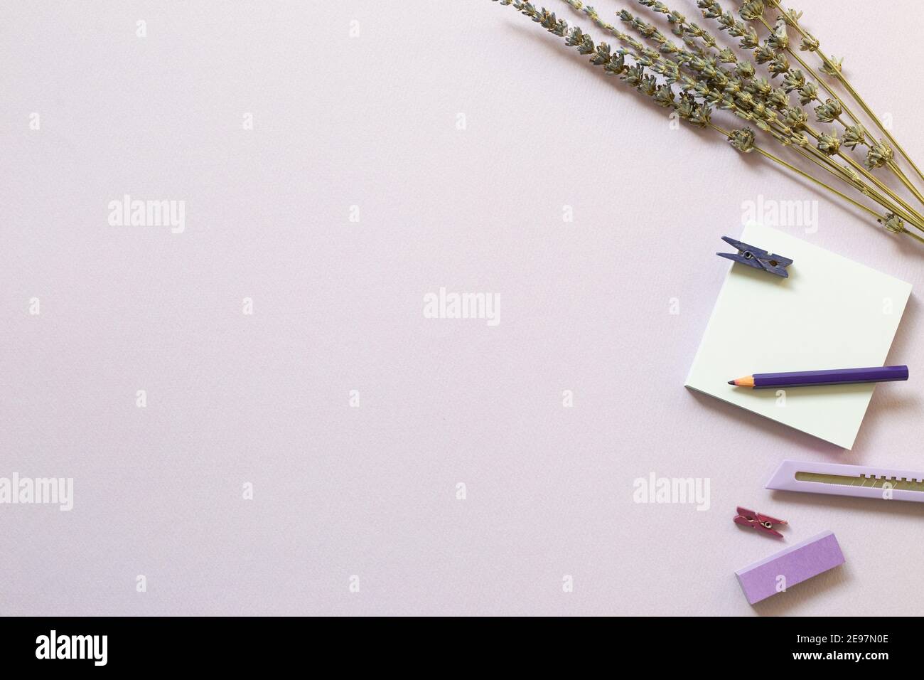 Notepad, cutter, colored pencil, clip, lavender flowers on purple ...
