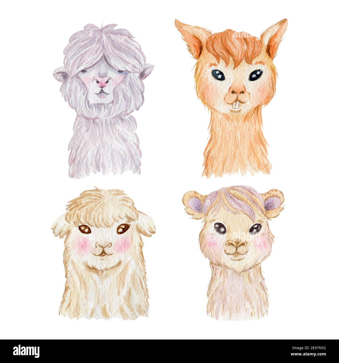 Cute llama characters watercolor illustration Stock Photo - Alamy