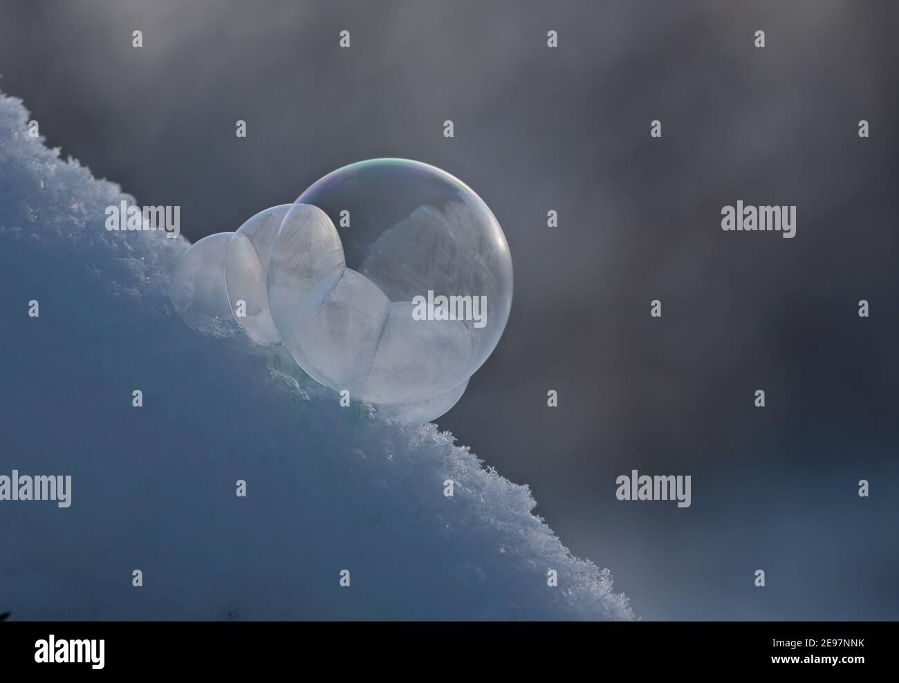 Frozen soap bubble in snow in snow on a very cold winter day Stock ...