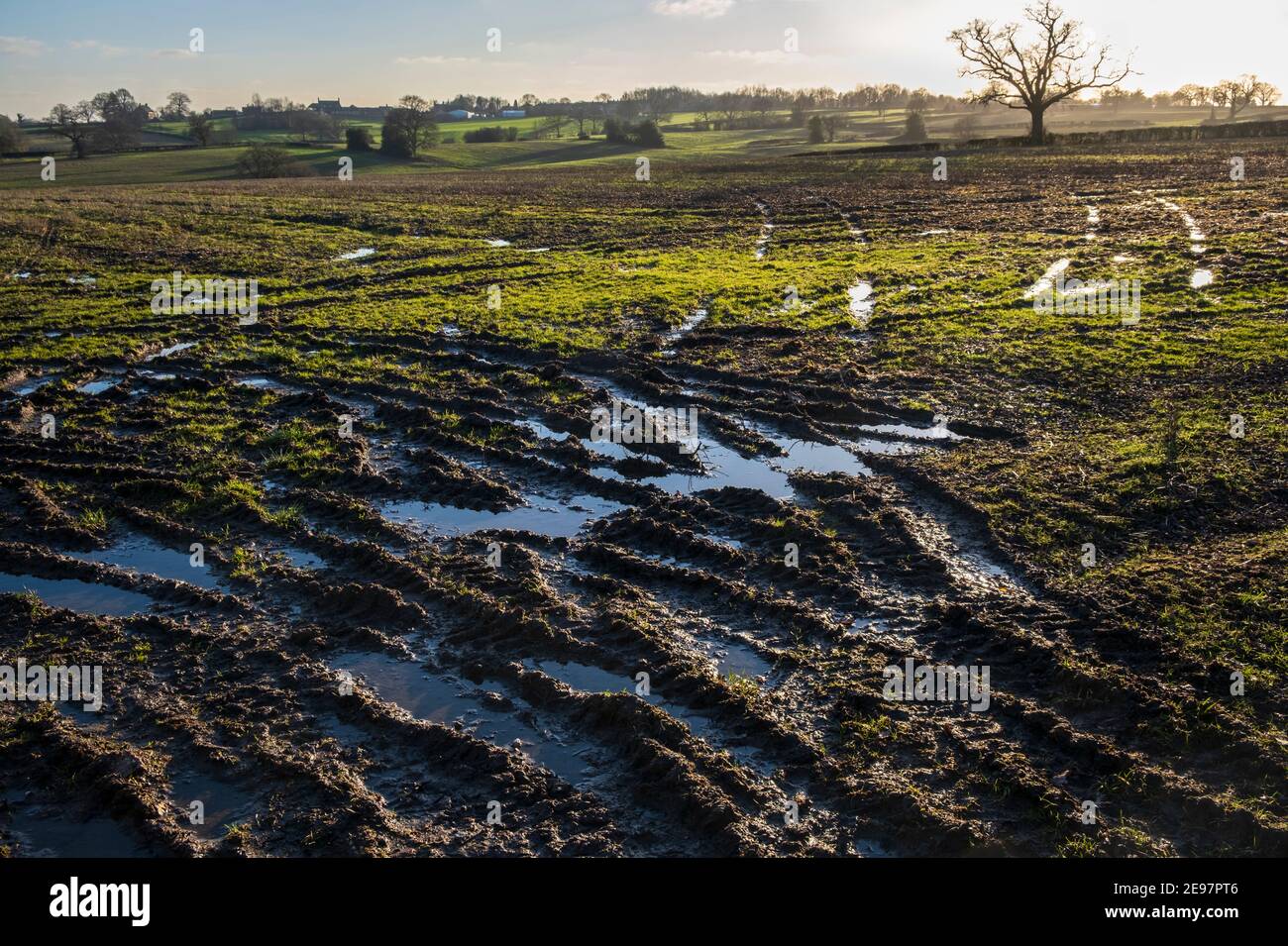 Tractor tracks in a muddy field near Wyaston, Derbyshire Stock Photo ...