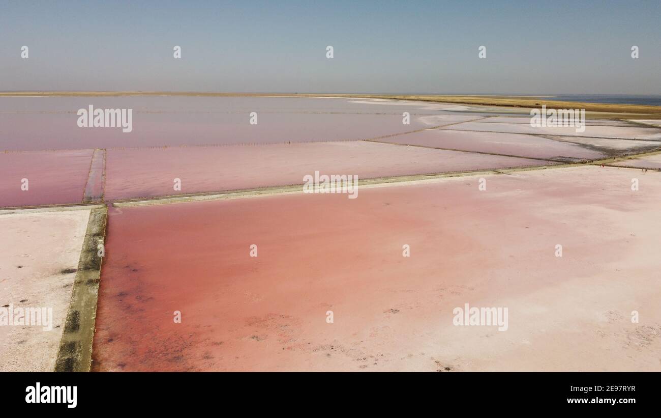 Aerial top view of beautiful salt lake with pink water. View of pink ...