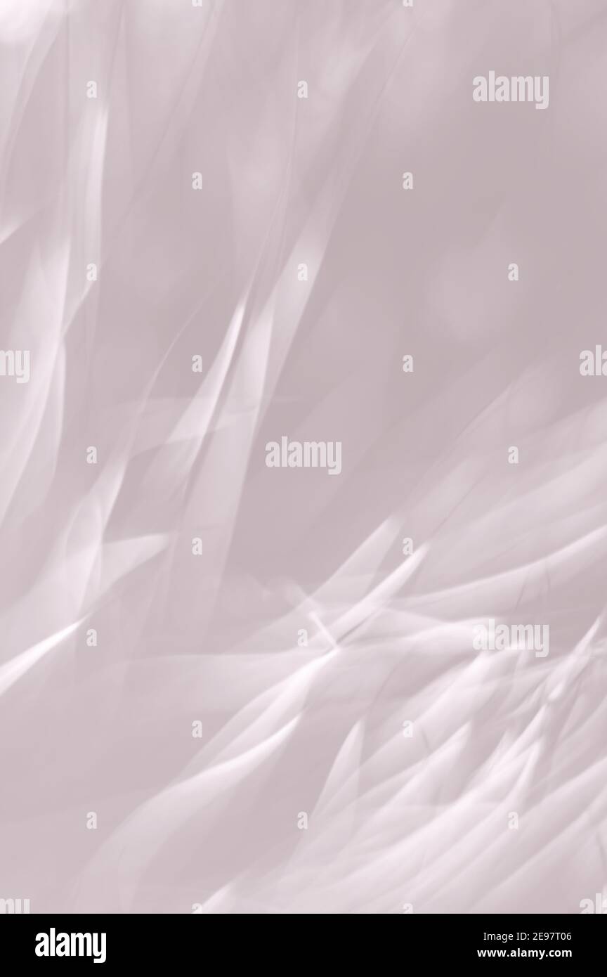 Light beige abstract background for web banner or design element. Soft ...