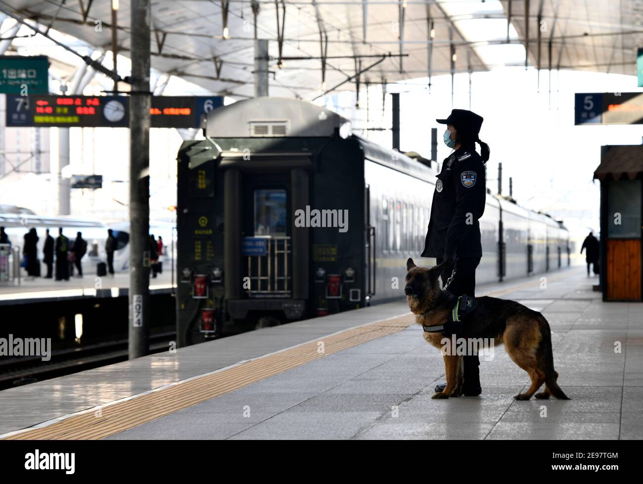 How To Train A Security Guard Dog
