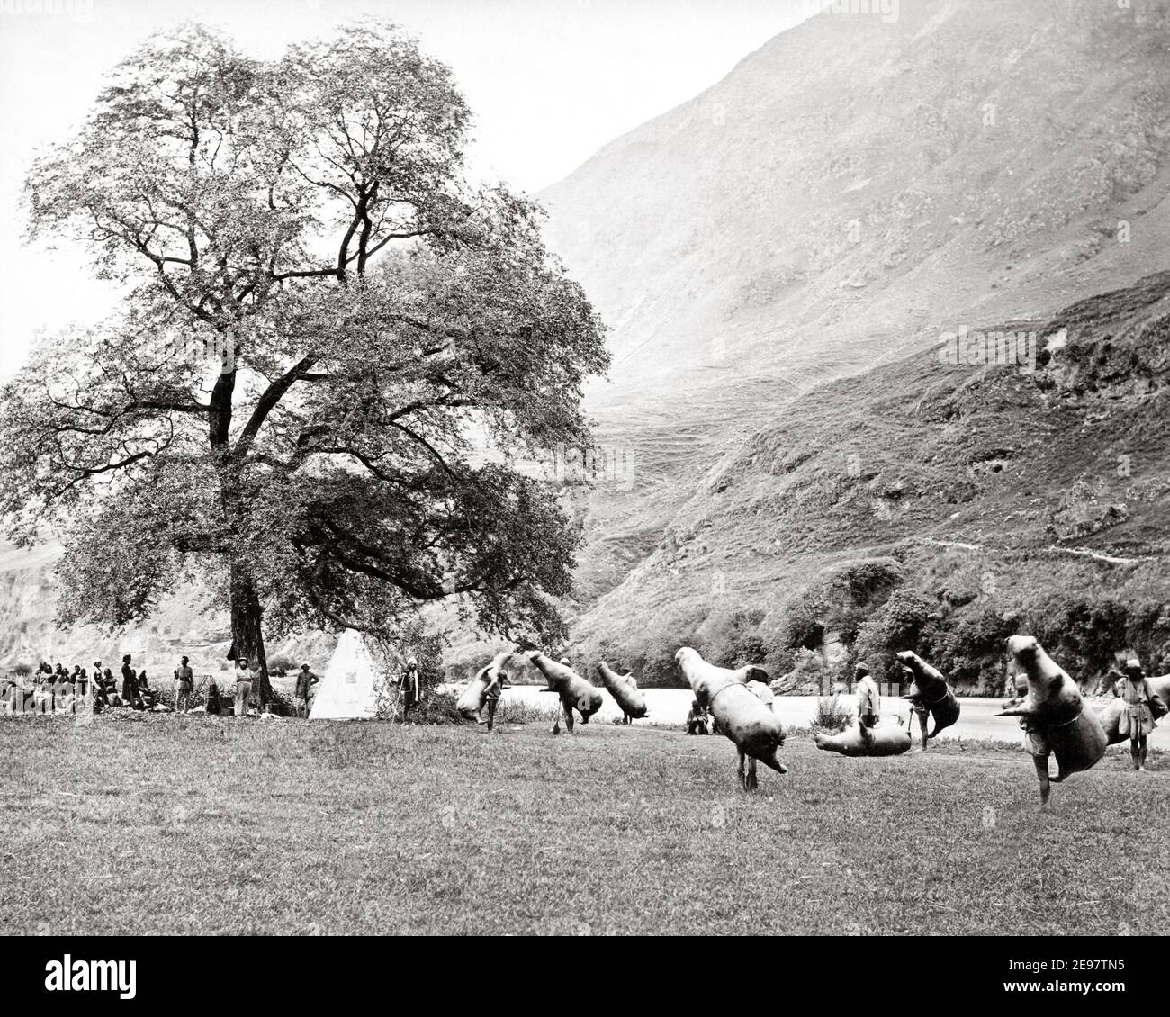 Late 19th century photograph - Mussocks, inflated animal skins for ...