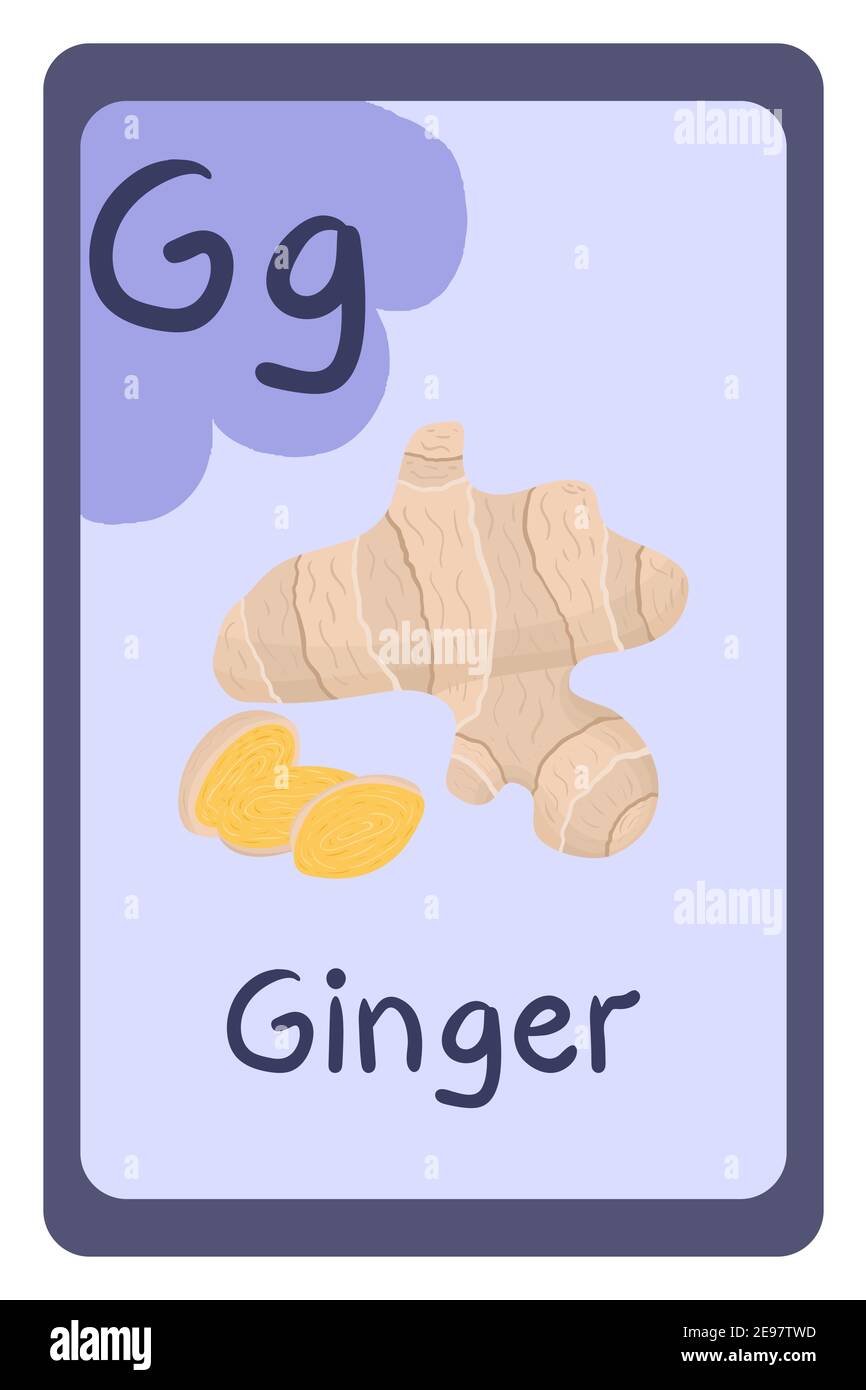 Abc education card in cartoon style on colorful background, Letter G ...