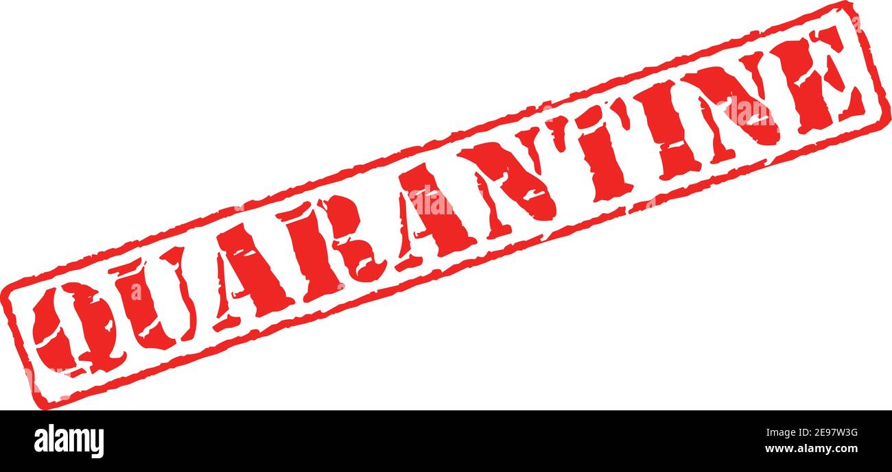 Red old stamp text quarantine isolated on white Stock Vector Image ...