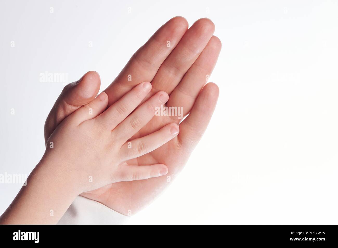 Child hand in parent palm lay on top isolated studio background Stock ...