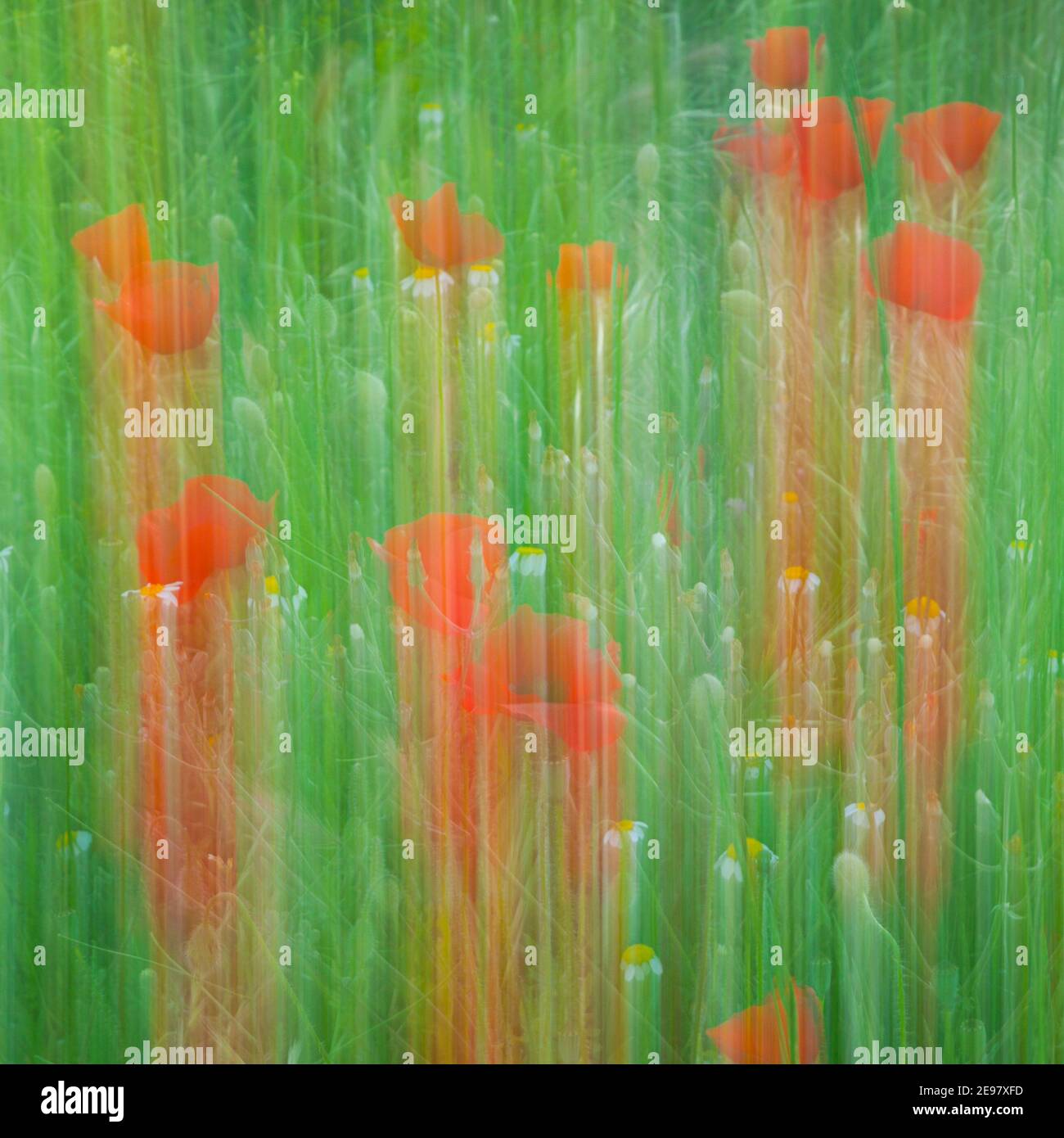 Movimiento cambio climático hi-res stock photography and images - Alamy