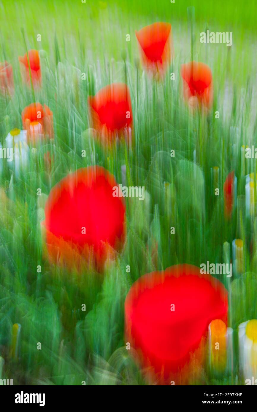 Movimiento cambio climático hi-res stock photography and images - Alamy