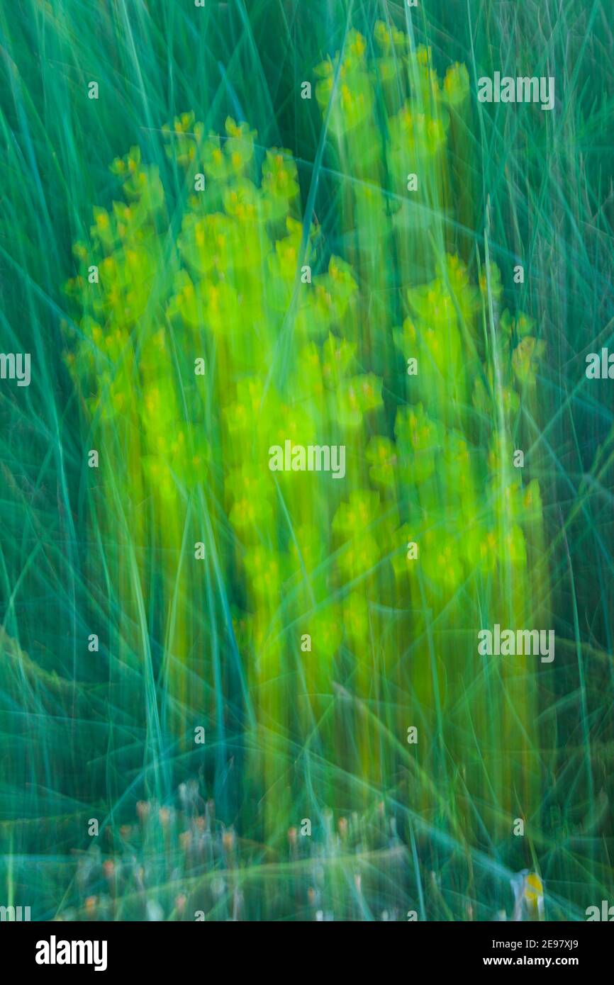 Movimiento cambio climático hi-res stock photography and images - Alamy