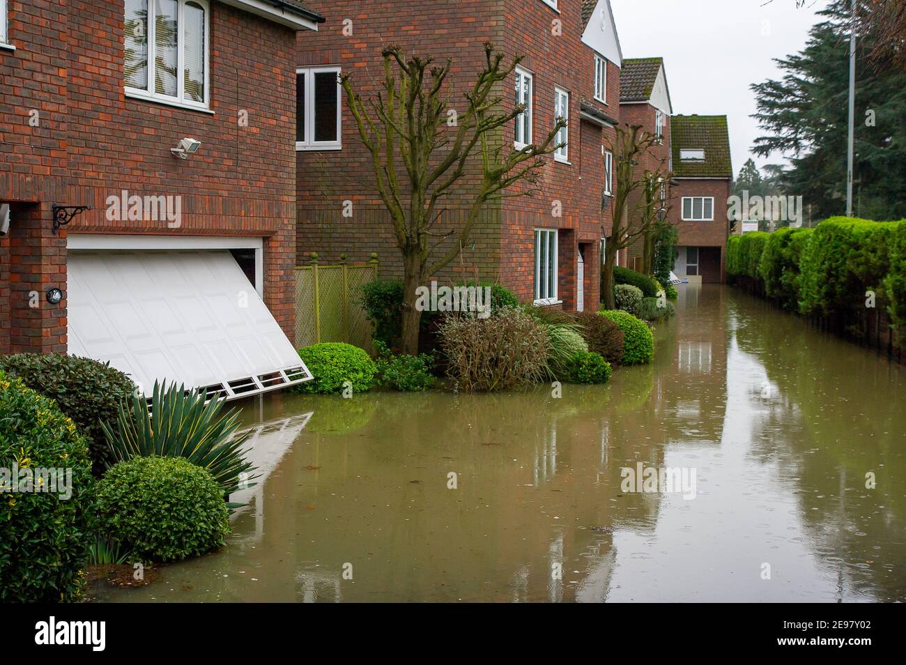 Old Windsor, Berkshire, UK. 3rd February, 2021. A Flood Warning is now ...