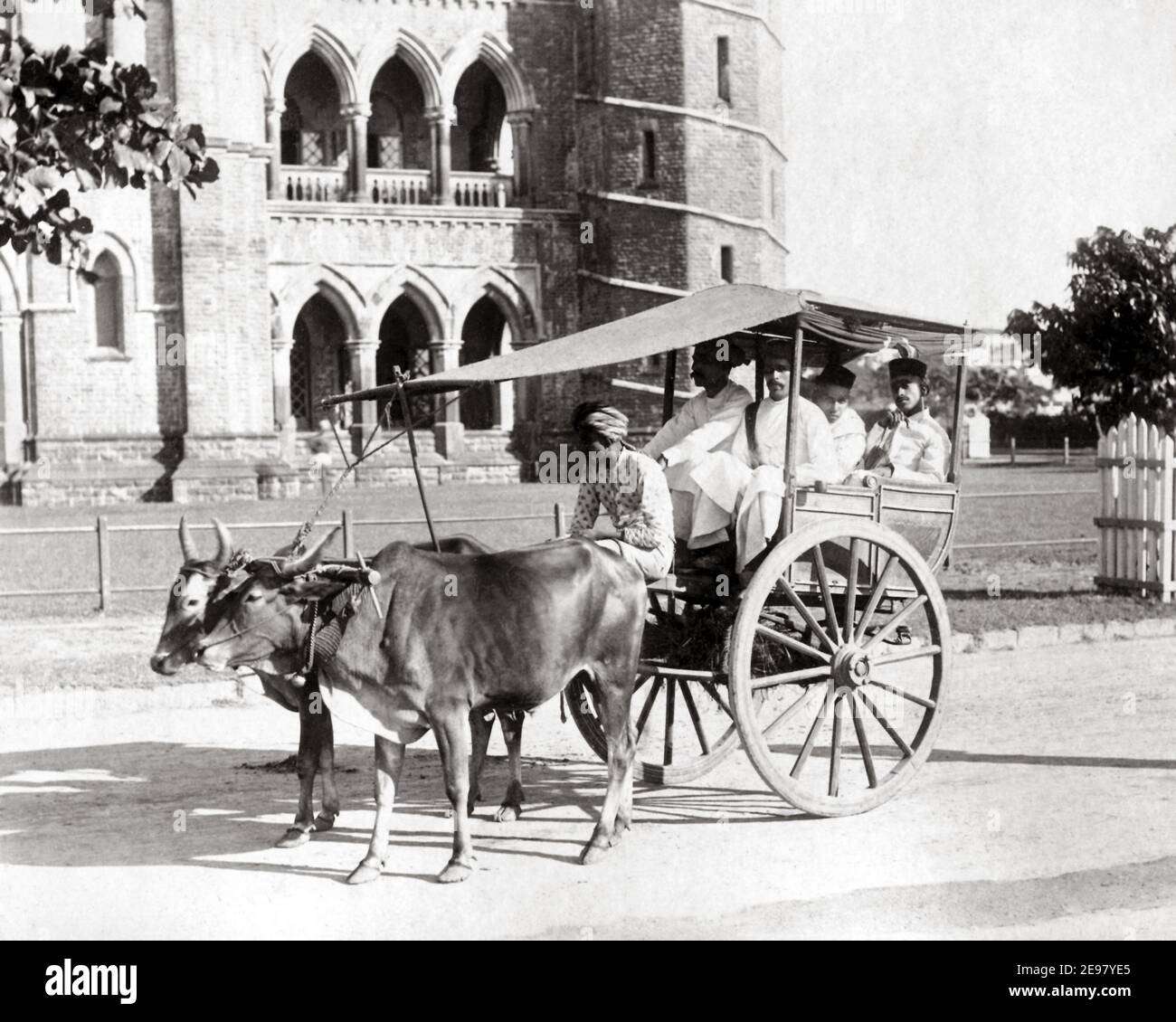 Late 19th century photograph - four men and driver in Bullock Cart ...