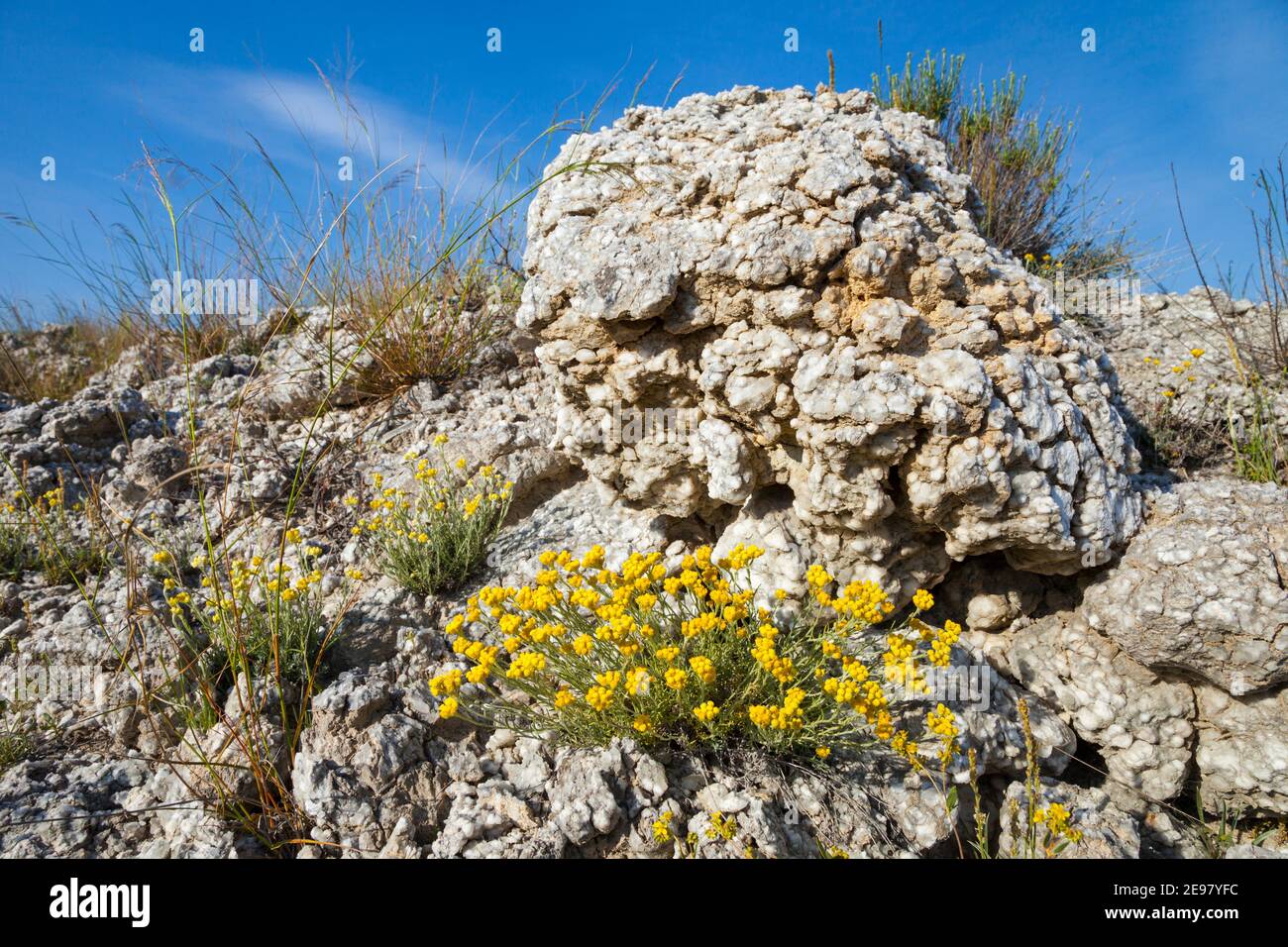 Ritmo de la naturaleza hi-res stock photography and images - Alamy