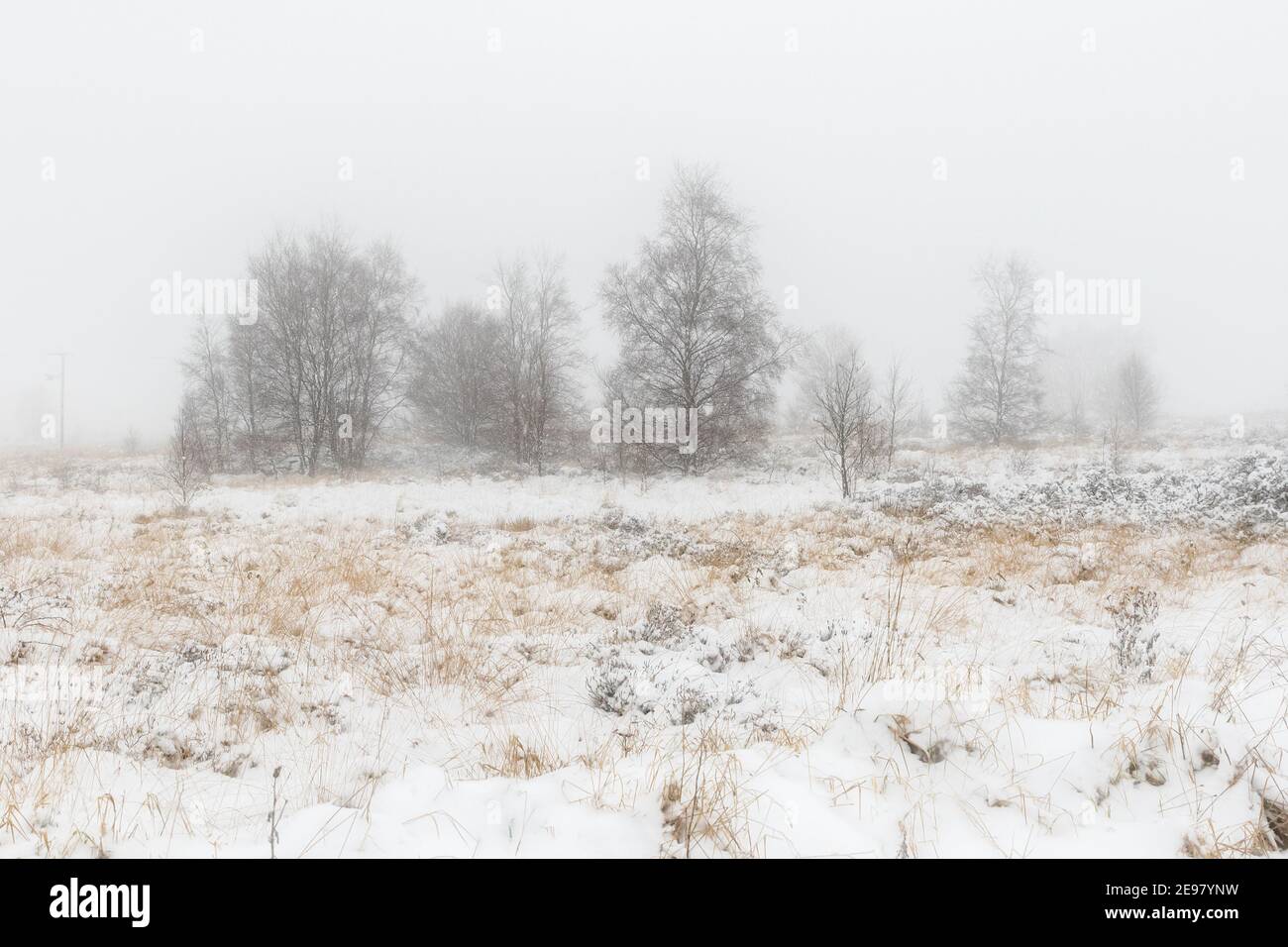 Snow covers the landscape, Yorkshire UK Stock Photo - Alamy