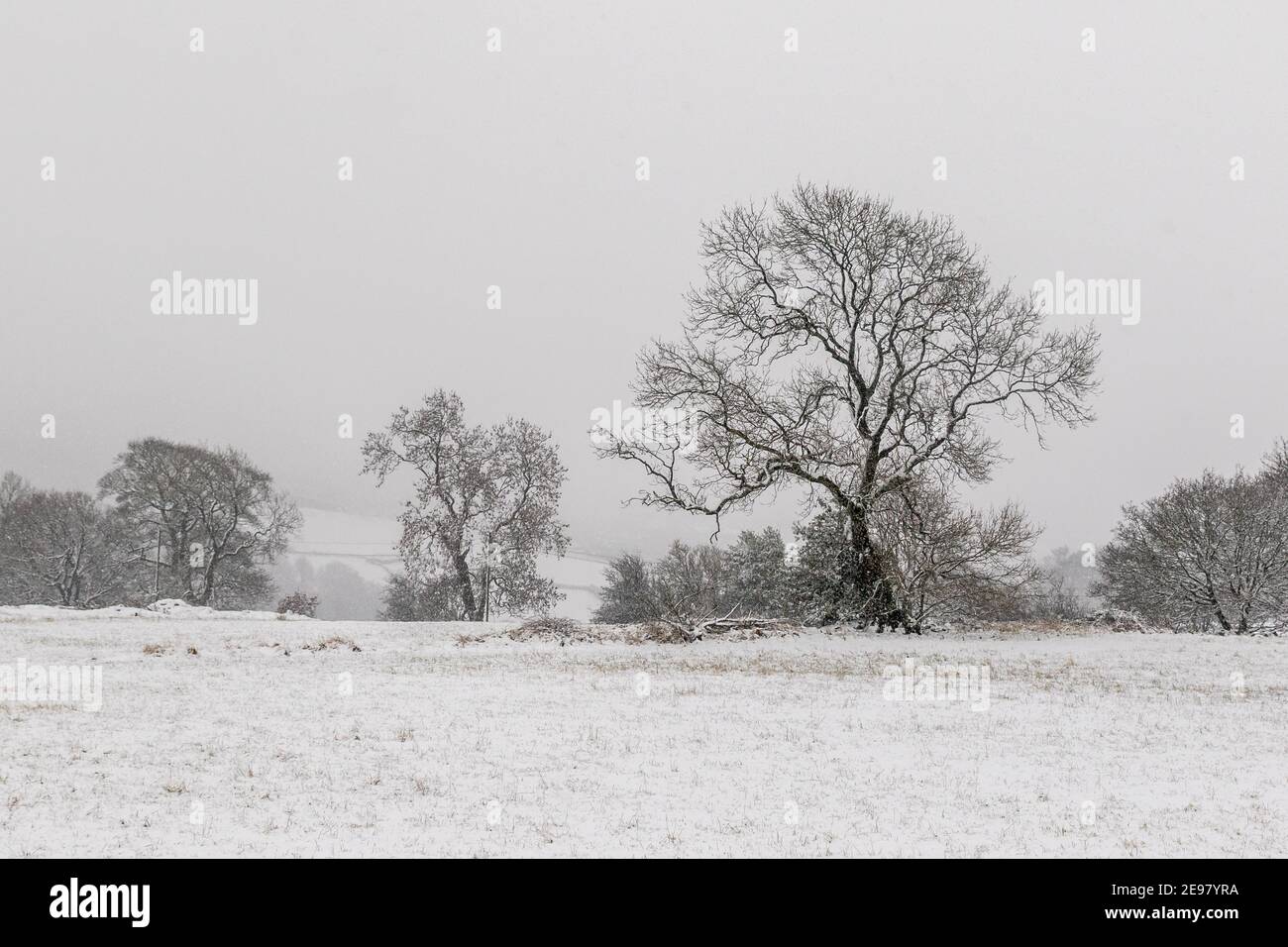 Snow covers the landscape, Yorkshire UK Stock Photo - Alamy