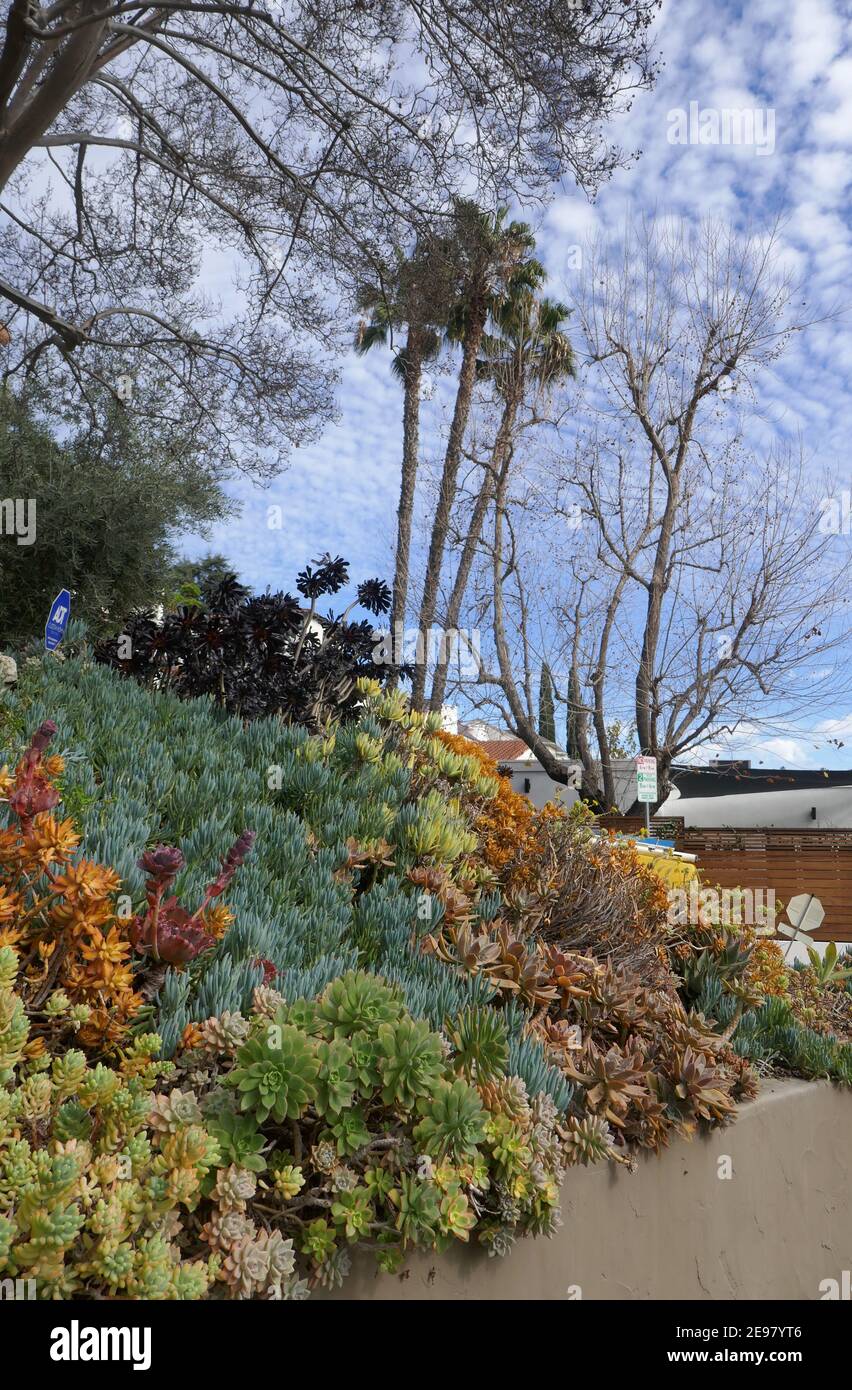 Camrose hi-res stock photography and images - Alamy