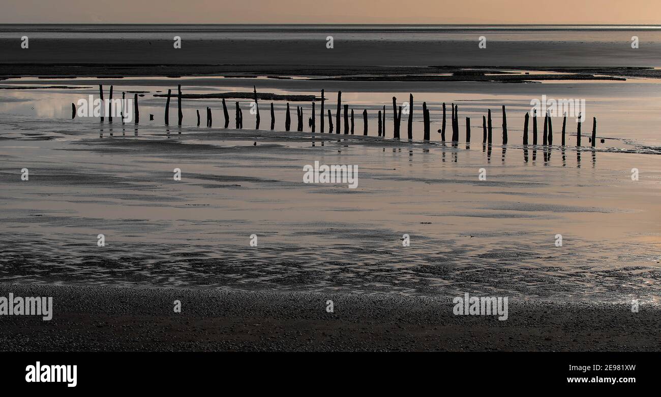 Old stakenets in the Solway Estuary taken from Mersehead RSPB Reserve ...