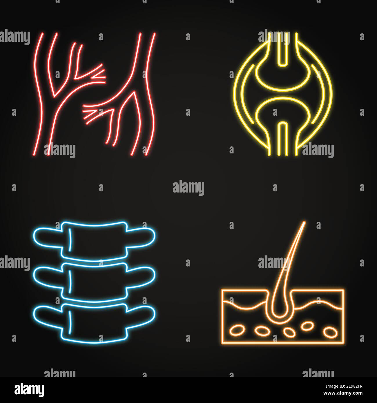 Human organs neon icon set in line style. Blood vessels, bones joint ...