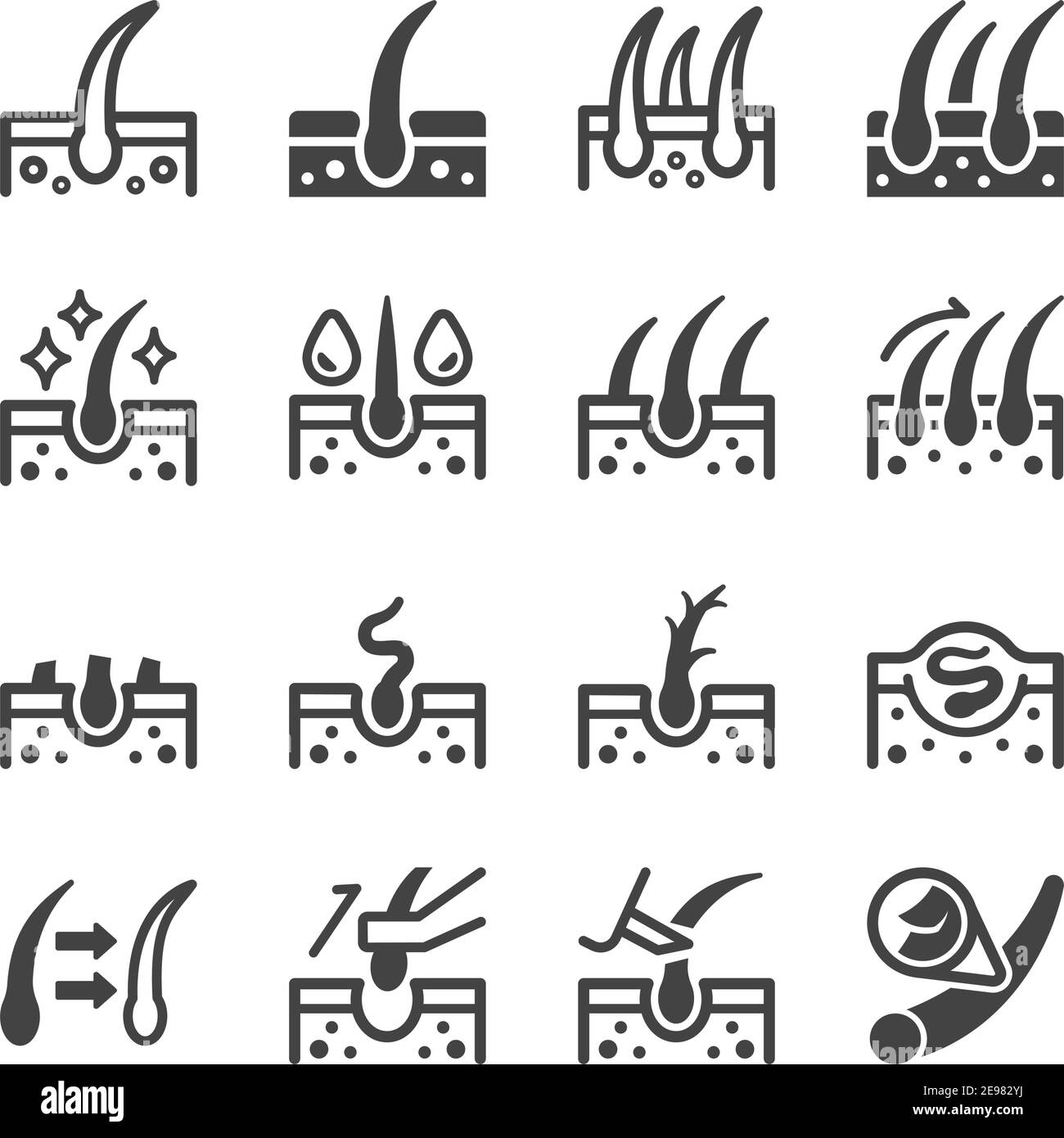 Skin hair icon outline Cut Out Stock Images & Pictures - Alamy