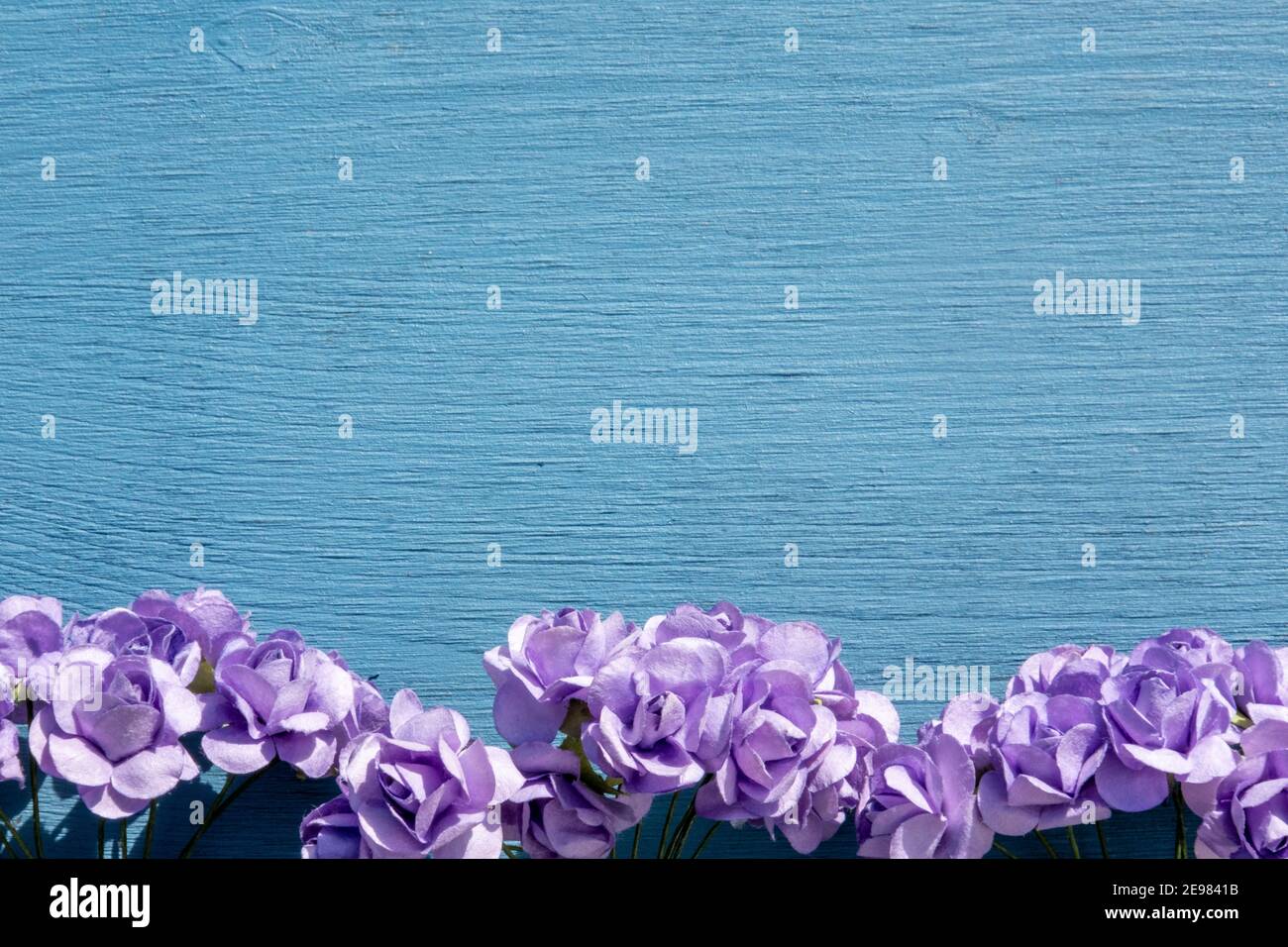 Flower Top And Bottom Border