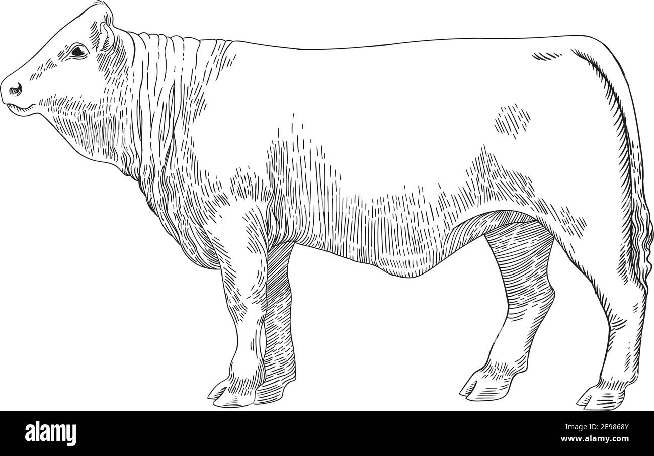 Ink yellow engraving Cut Out Stock Images & Pictures - Alamy