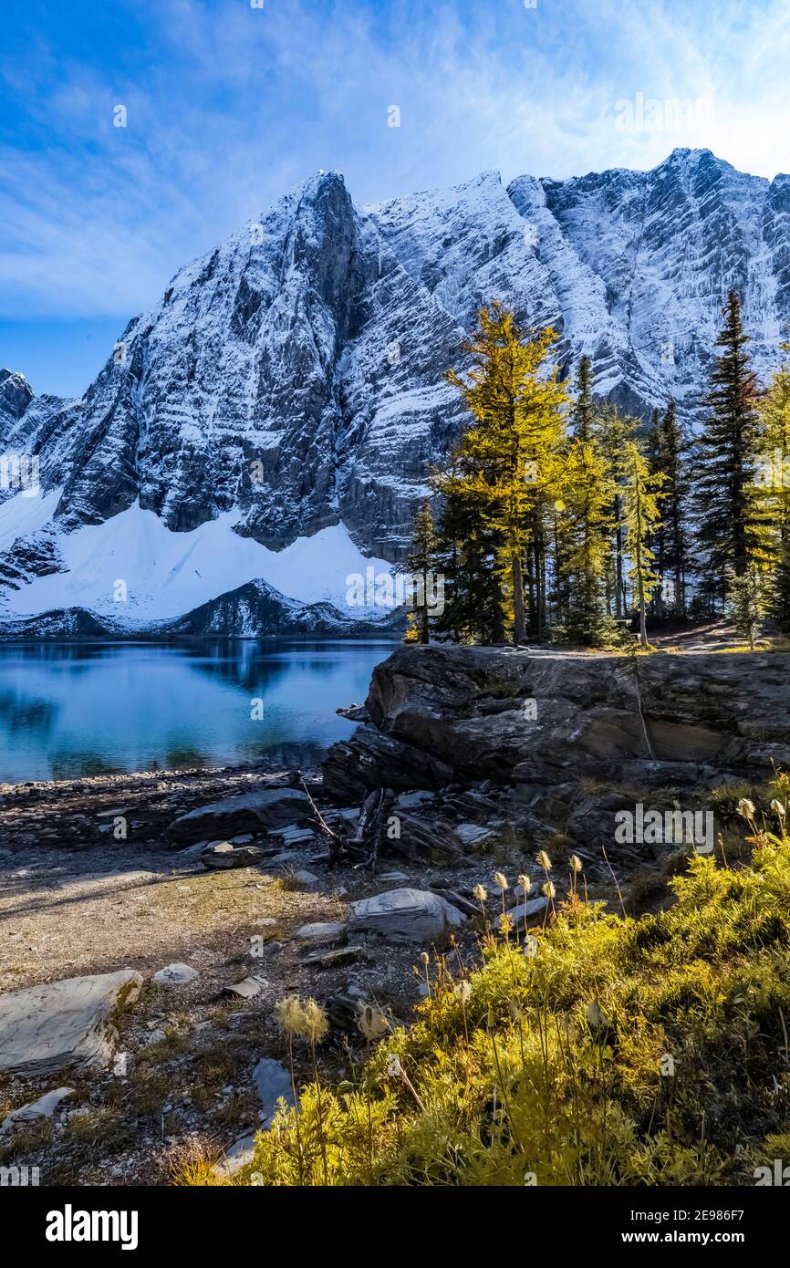 Floe Lake and Floe Peak at Floe Lake Campground with Lyall's Larch ...