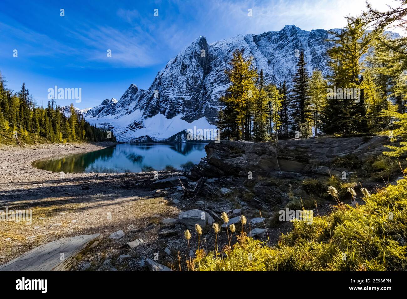 Floe Lake and Floe Peak at Floe Lake Campground with Lyall's Larch ...