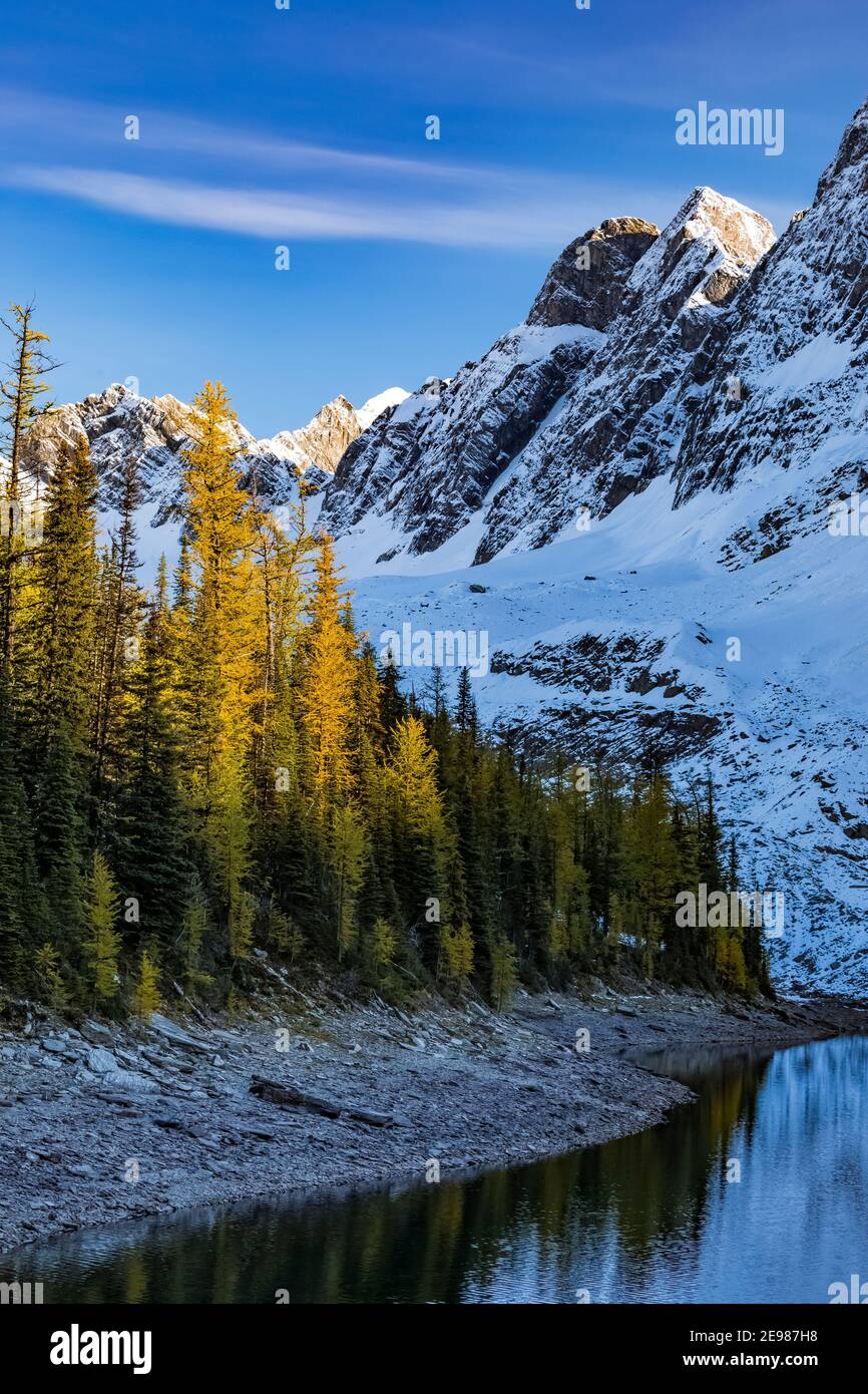 Floe Peak and The Rockwall across Floe Lake from the Floe Lake ...
