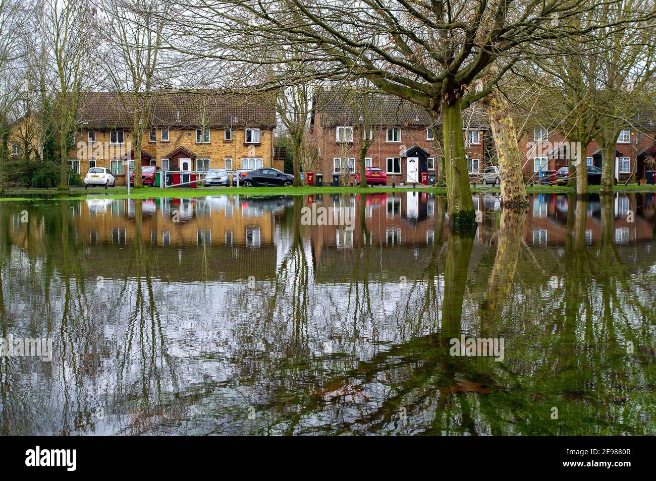 Colnbrook, Berkshire UK. 3rd February, 2021. Flooding in Albany Park in ...