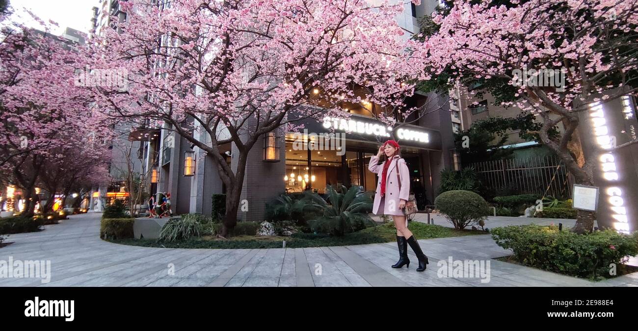 Linkou taiwan feb 2021 starbucks hi-res stock photography and images ...