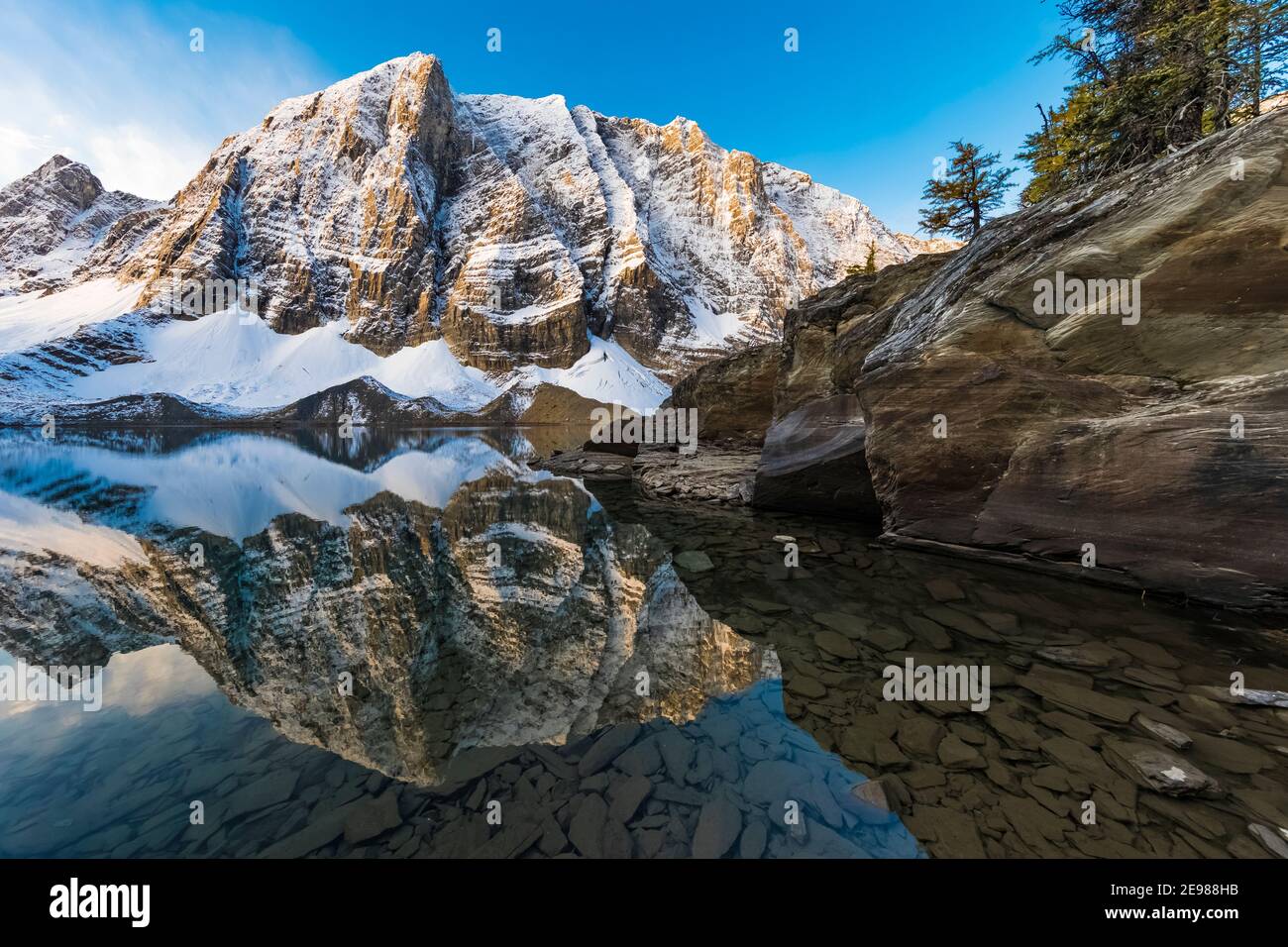 Floe Peak in morning light rising above Floe Lake in Kootenay National ...