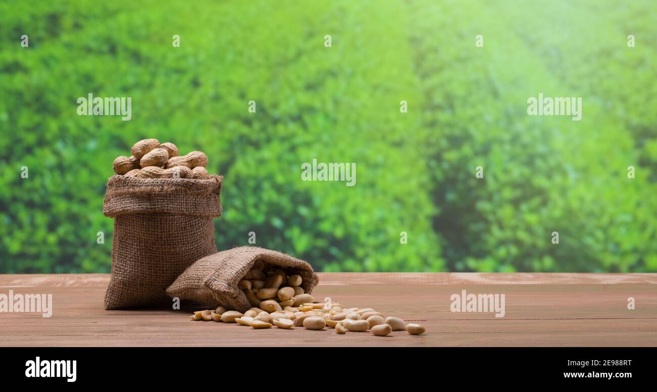 Peanut Farm High Resolution Stock Photography and Images - Alamy