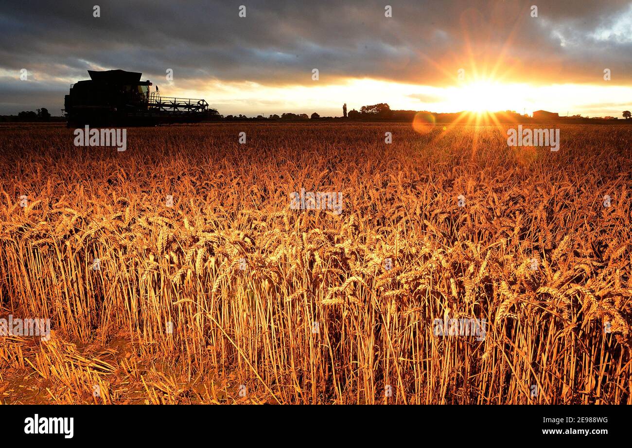 Two acre farm hi-res stock photography and images - Alamy