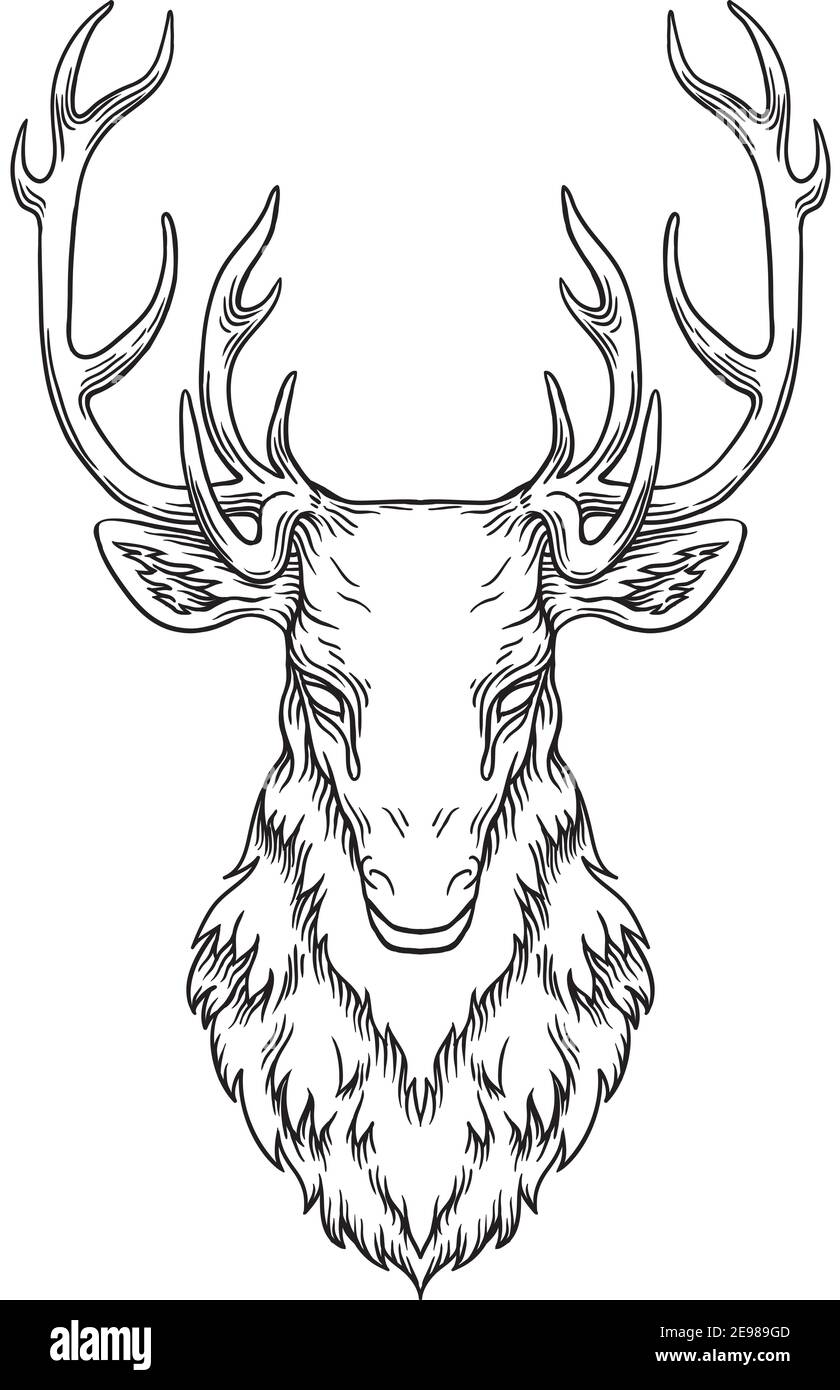 Reindeer Head Illustration