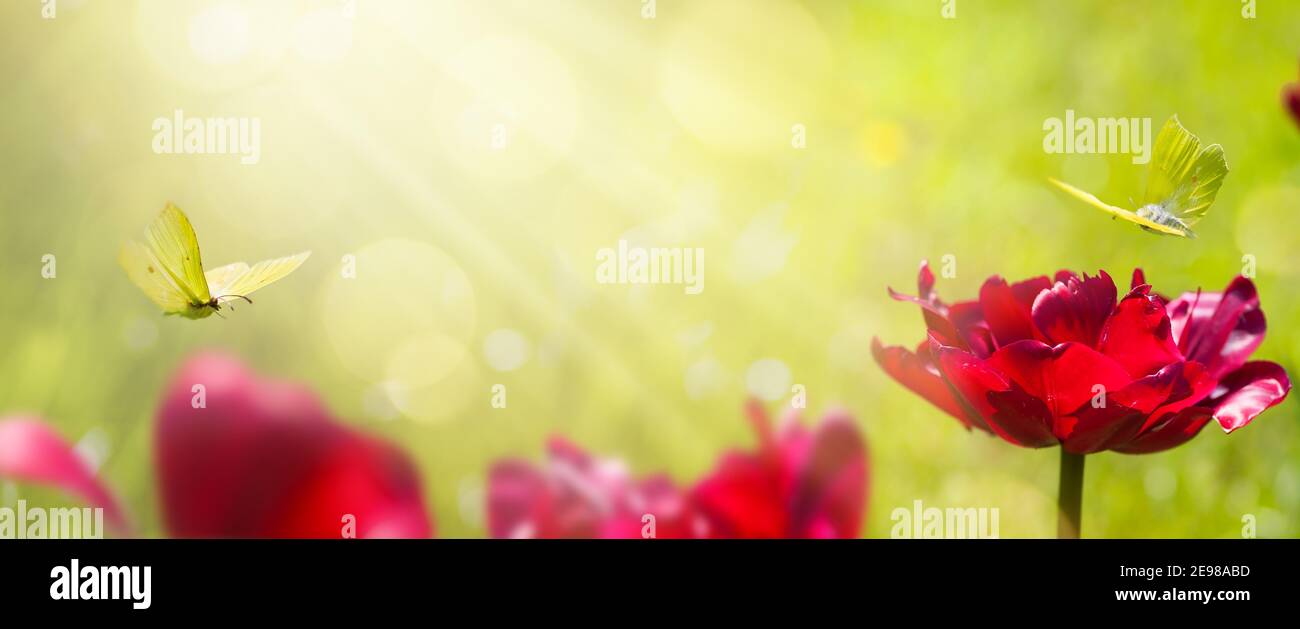 art abstract blurred spring background or summer background with fresh ...