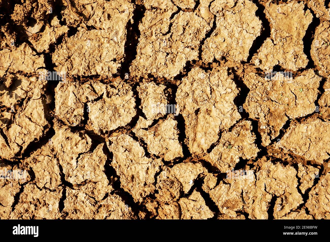 texture of the dry land Stock Photo - Alamy