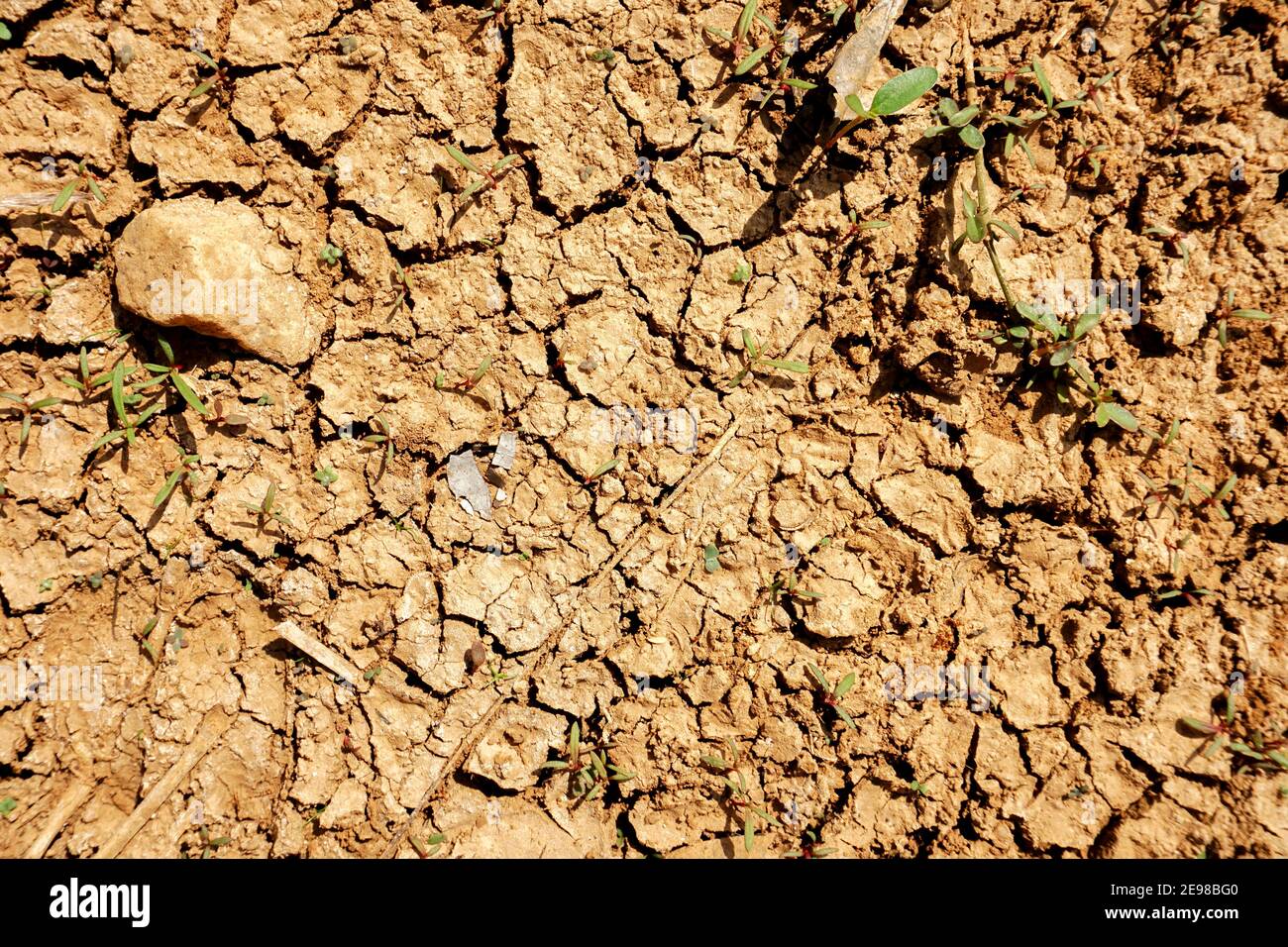 Texture dirt hi-res stock photography and images - Alamy