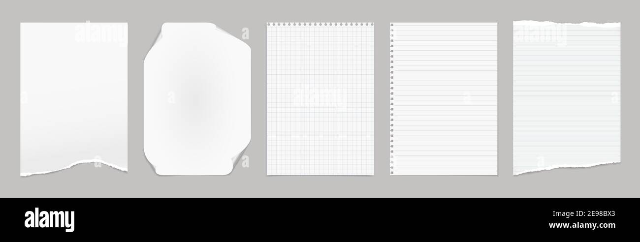 White torn, lined and blank note, notebook paper are on grey background ... White torn, lined and blank note, notebook paper are on grey background ...