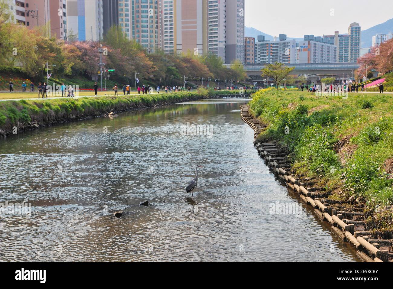 Spring of Oncheoncheon Citizens Park , Busan, South Korea, Asia Stock ...