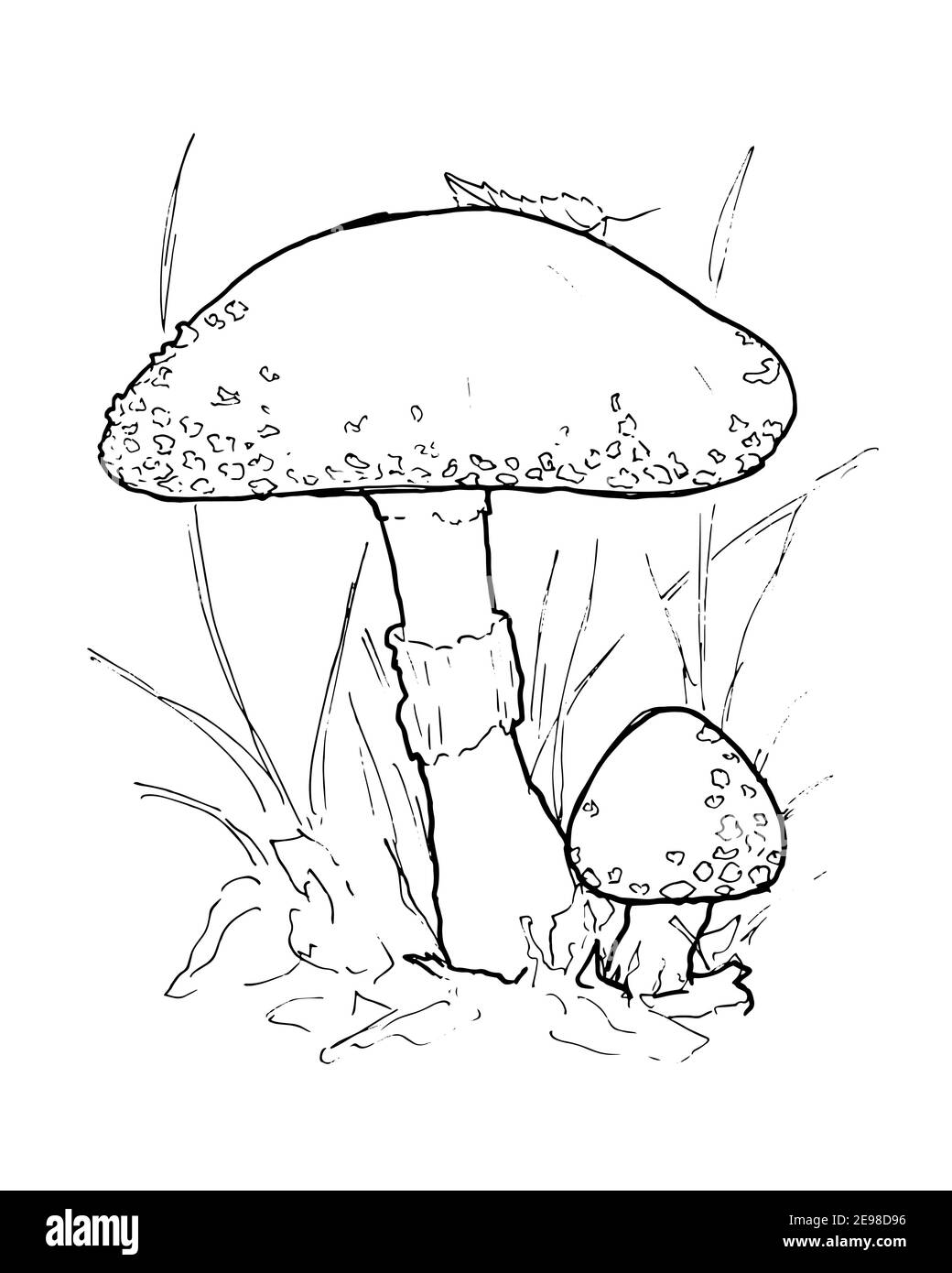 Book bud Cut Out Stock Images & Pictures - Alamy