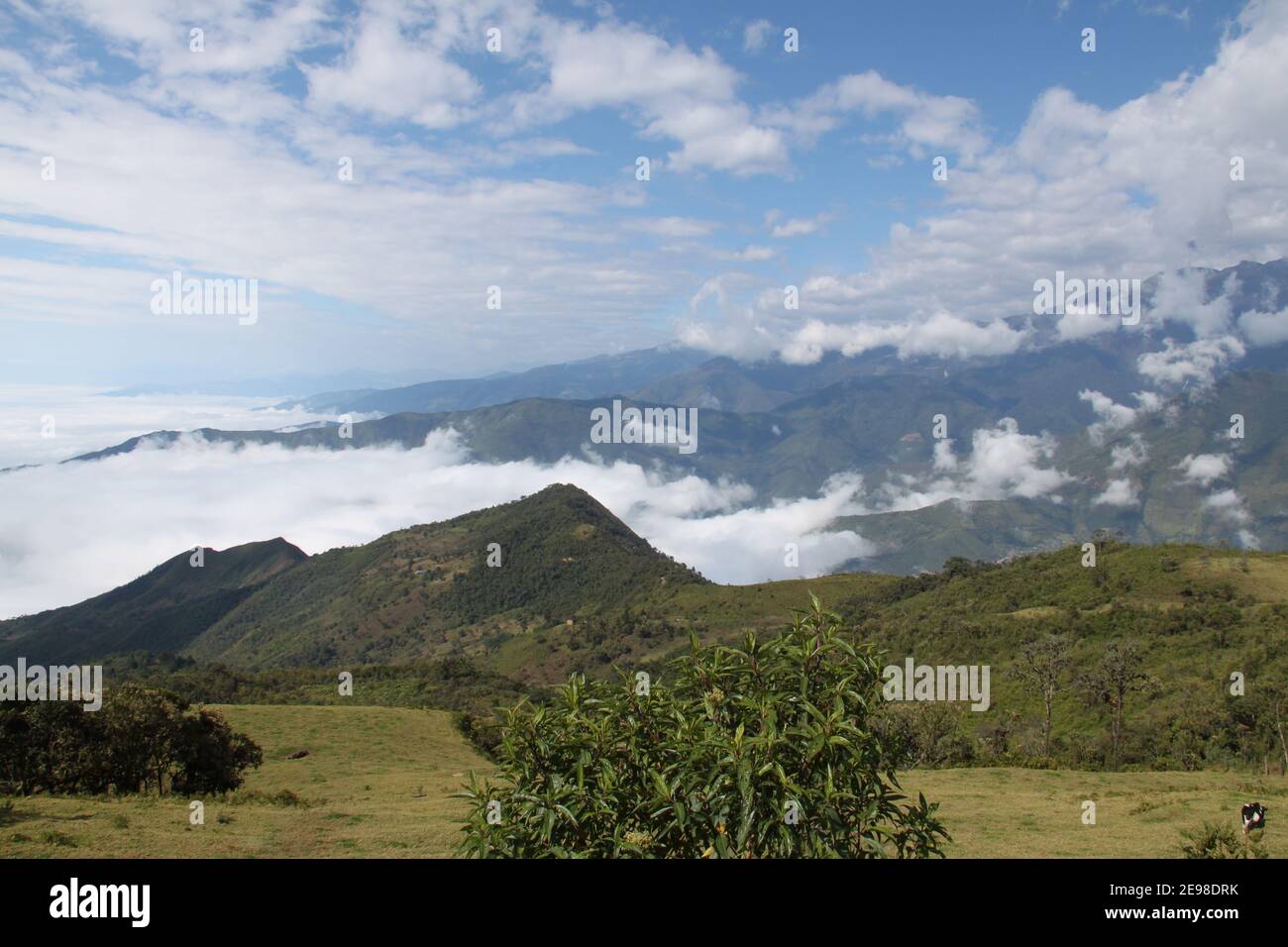Landscape of the Andes in Ecuador Stock Photo - Alamy