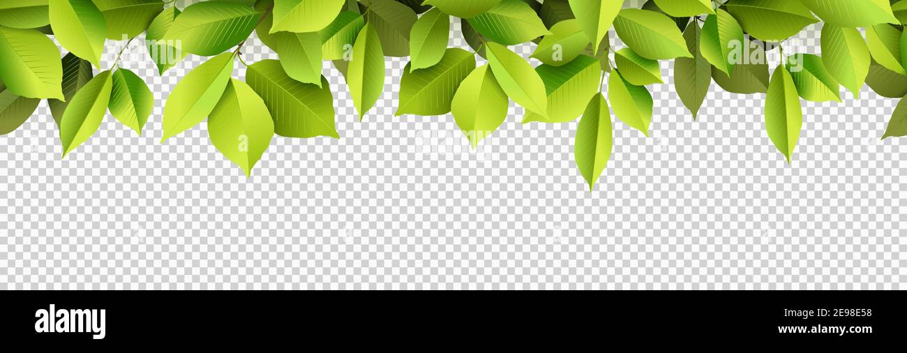 Leaf in outdoor Stock Vector Images - Alamy