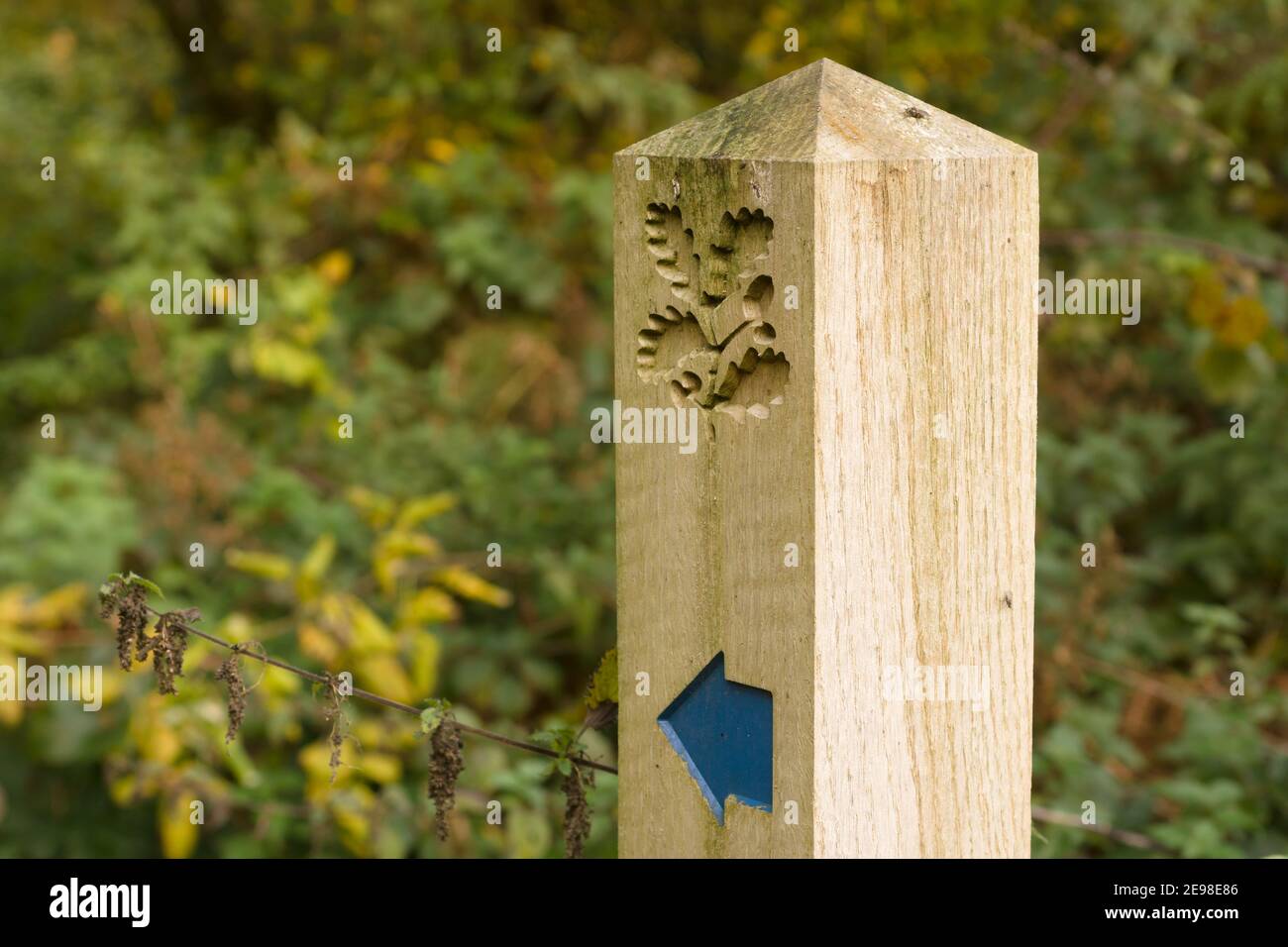 Rural sign post along public access woodland trails in the UK Stock ...