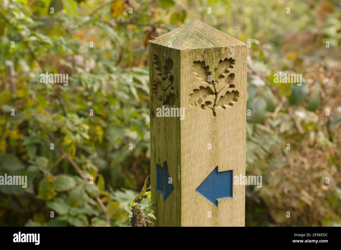 Symbol For The National Trails Of England And Wales High Resolution ...