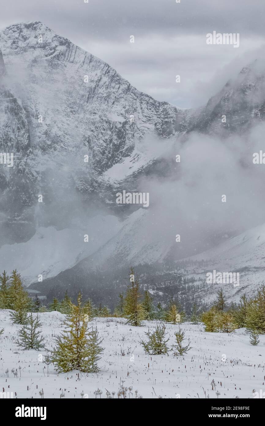 Snowy Numa Pass and Foster Peak in Kootenay National Park in the ...