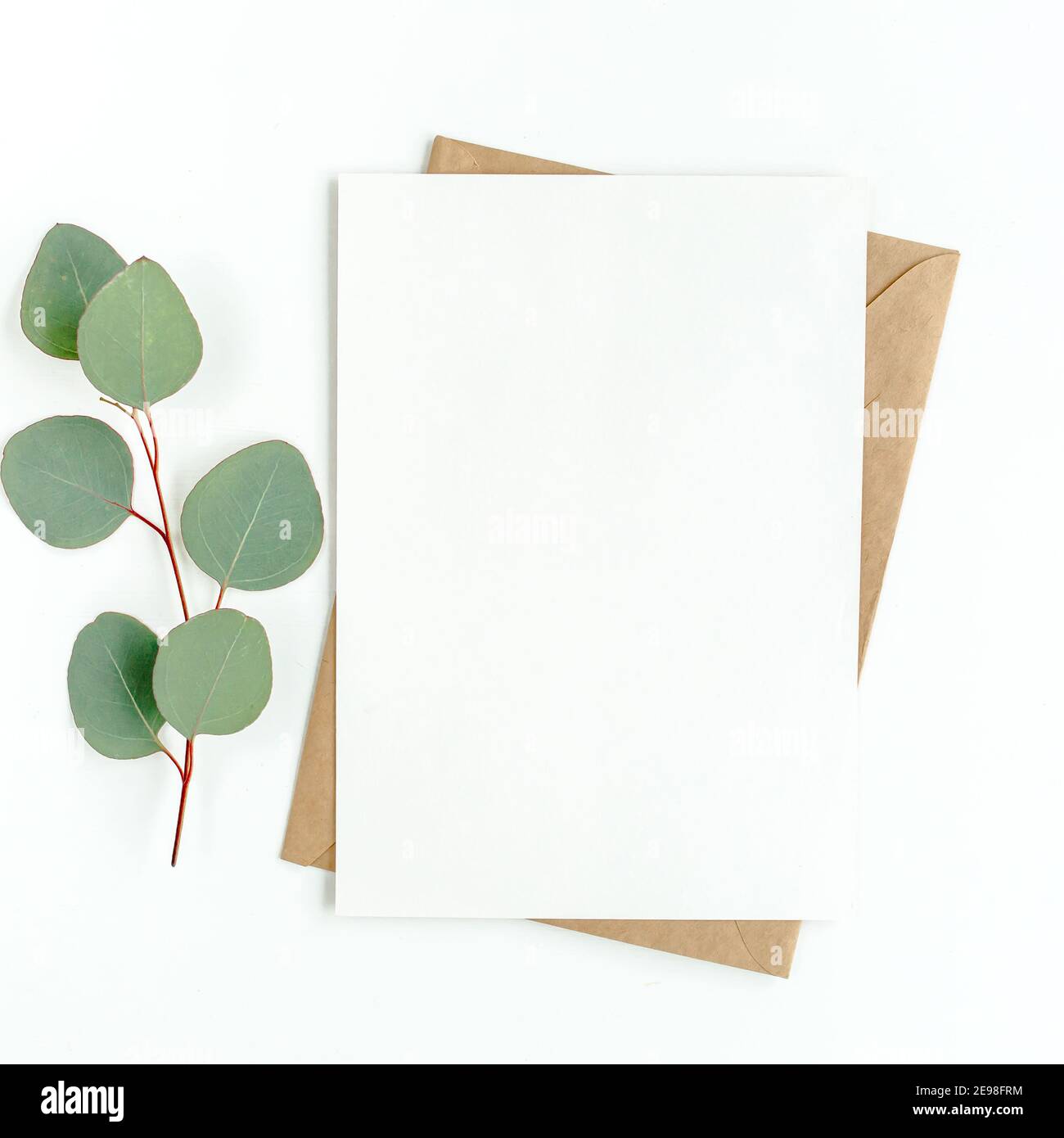 Blank flat ribbon Cut Out Stock Images & Pictures - Alamy