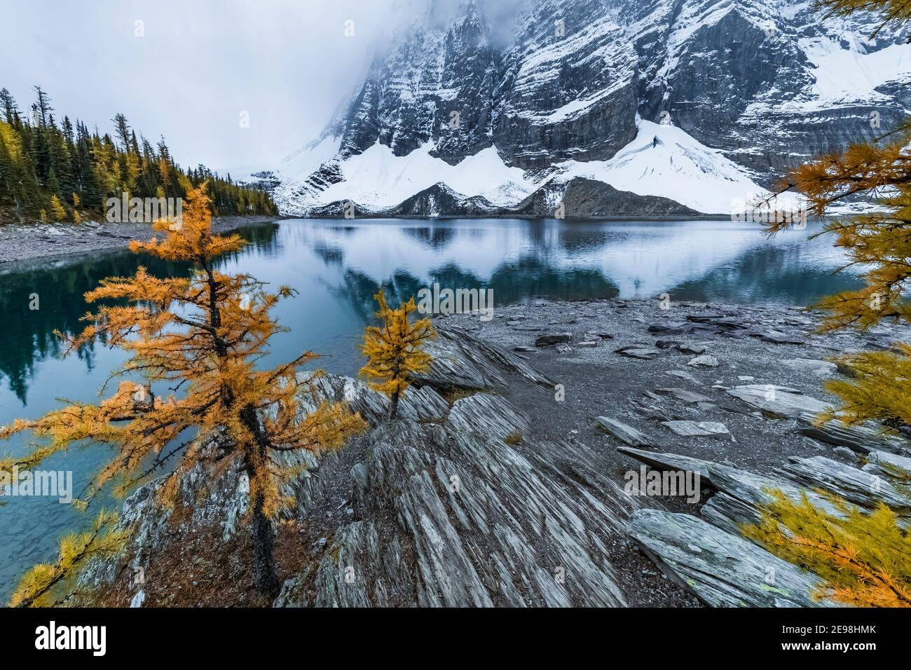 Floe Lake Campground High Resolution Stock Photography and Images - Alamy