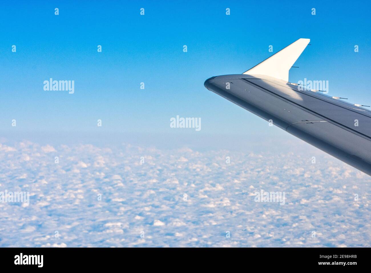 Sharklet hi-res stock photography and images - Alamy