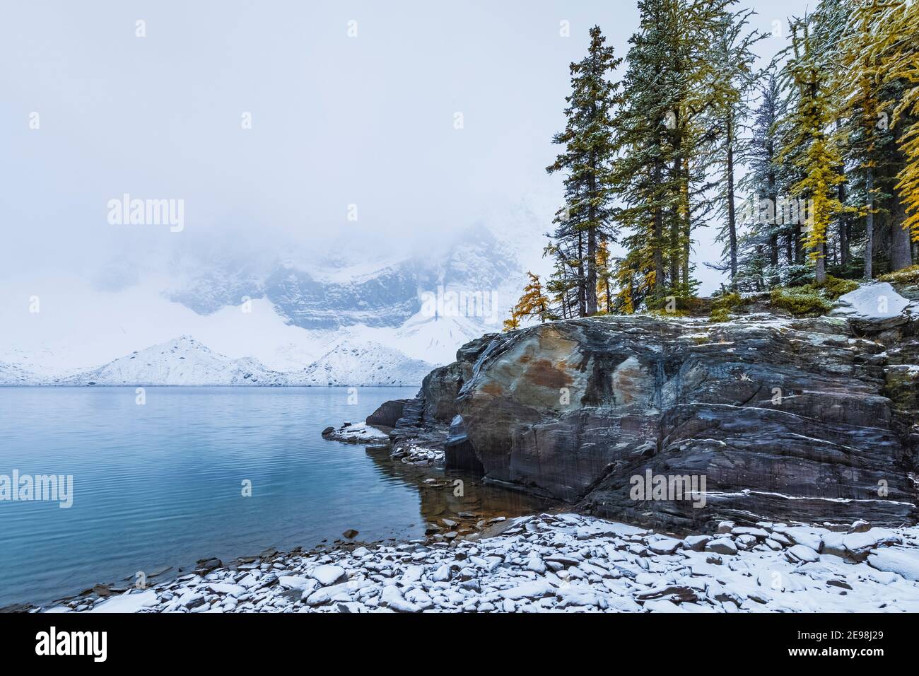 Floe Lake shoreline at Floe Lake Campground, Kootenay National Park in ...