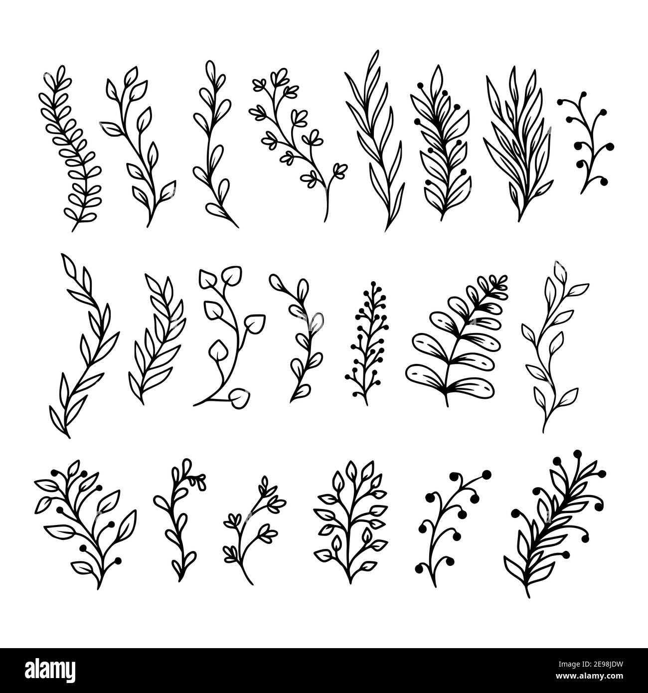 Set Hand-Drawn Sketchy Doodles of Leaves, Plants, and Flowers Vector ...